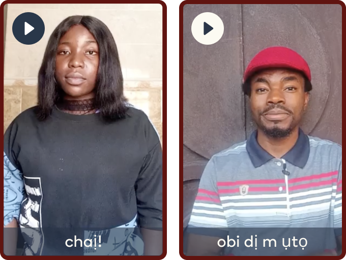 Learn Igbo Language with Memrise